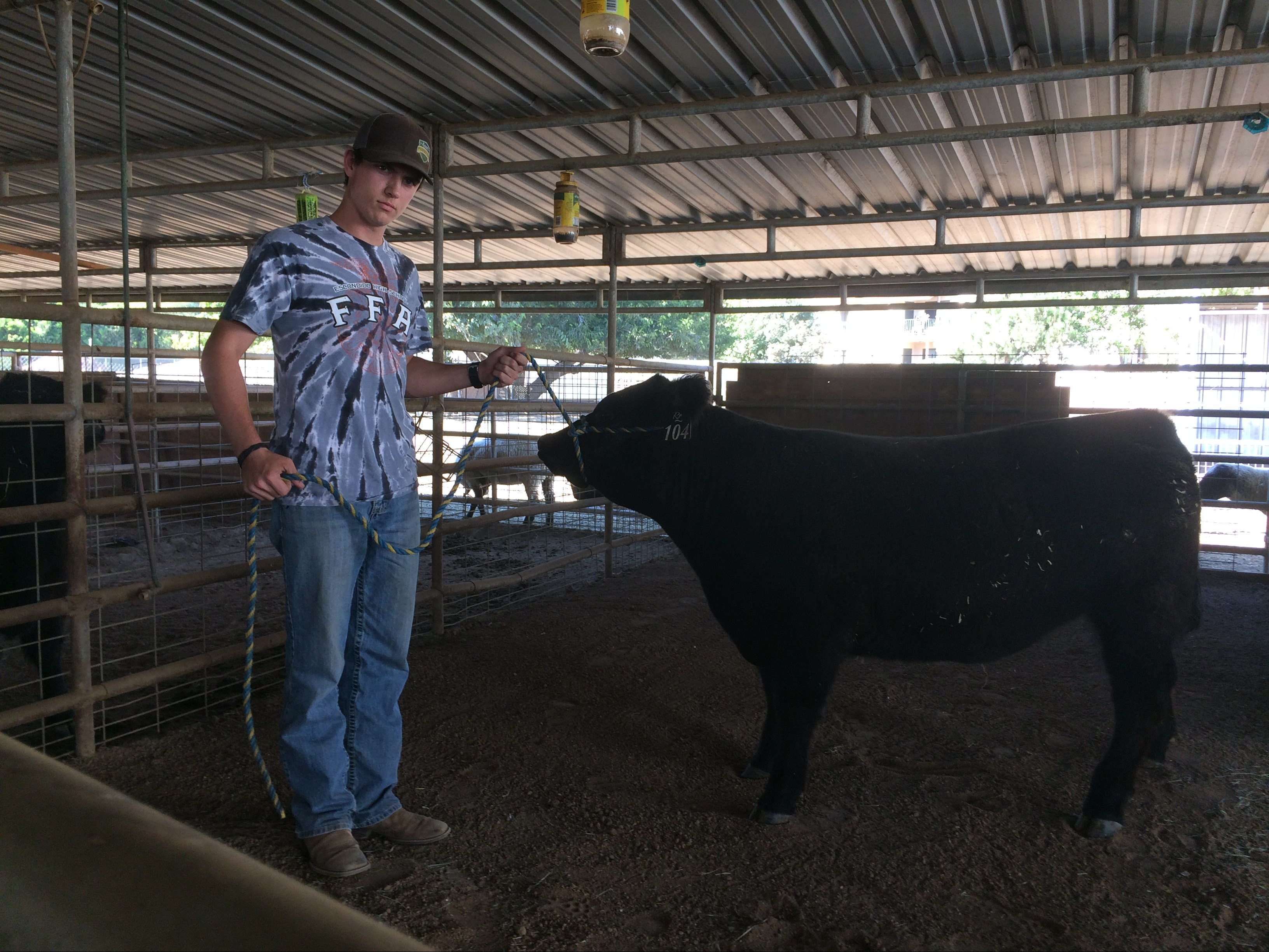 Scholarship Recipients – Curren's Cows Foundation